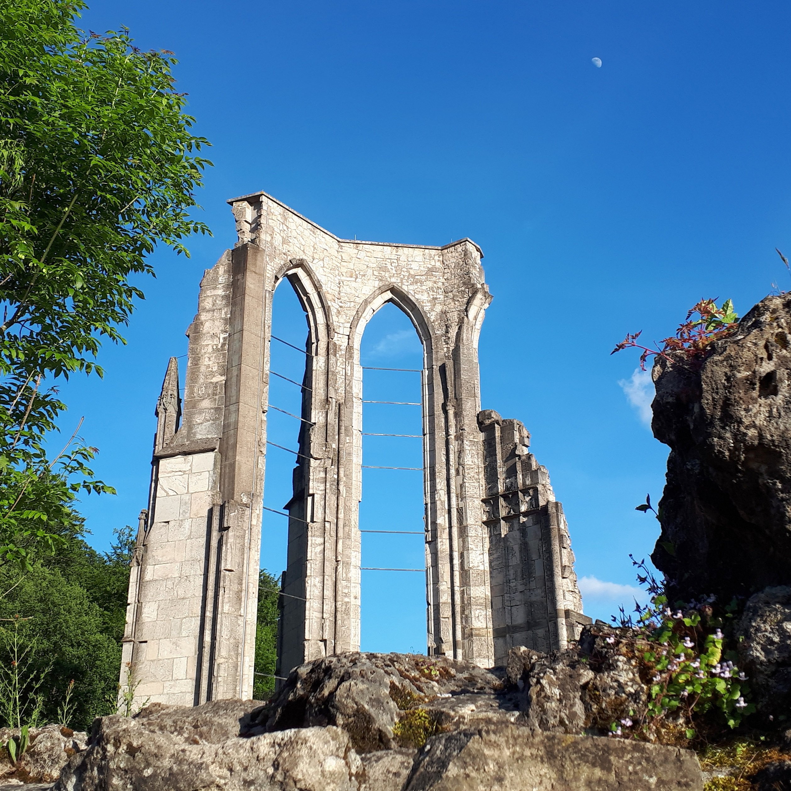 Start - ZisterzienserMuseum Kloster Walkenried